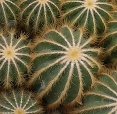 Untitled Document [fab.cba.mit.edu]